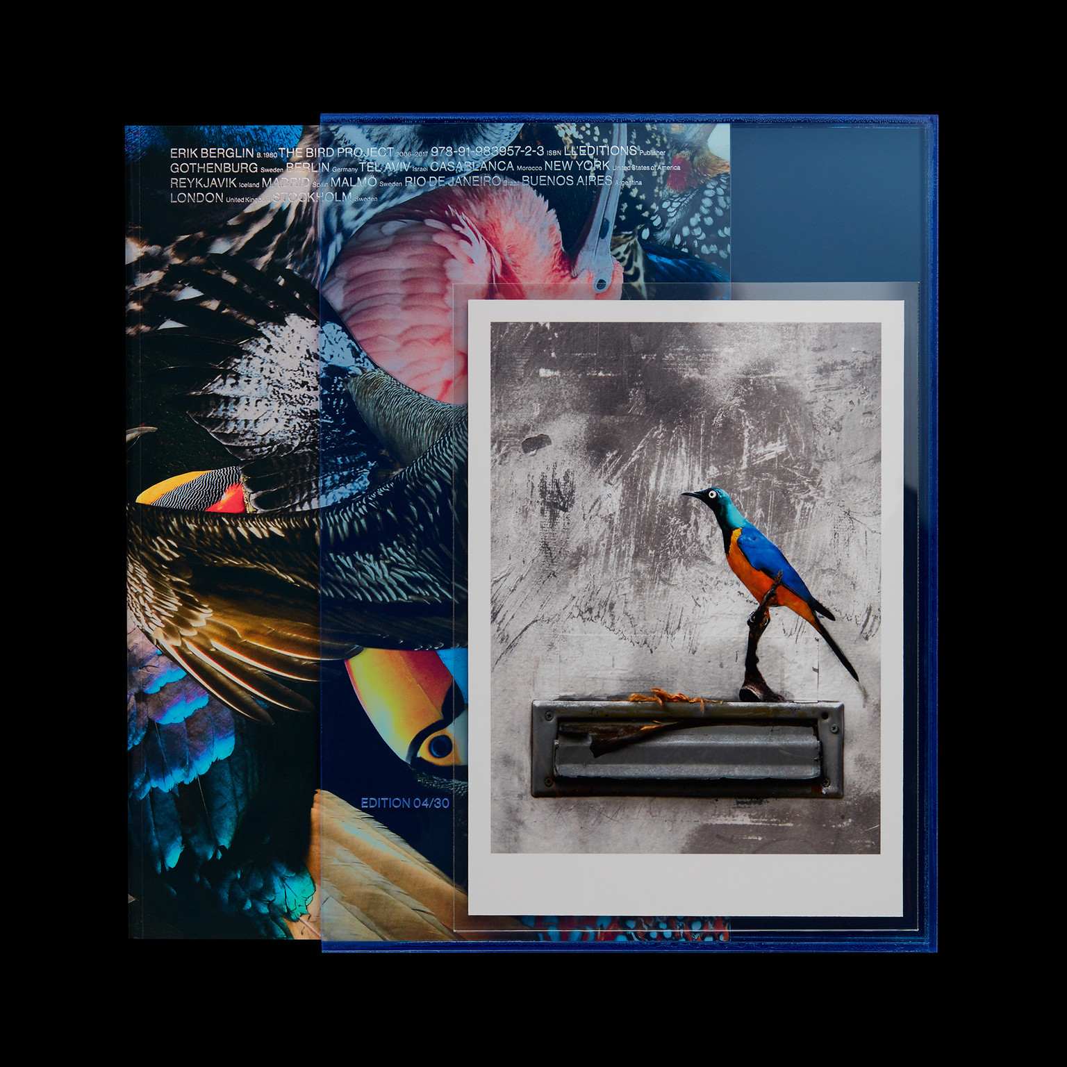 The Bird Project 2006–2017 by Erik Berglin – LL’Editions