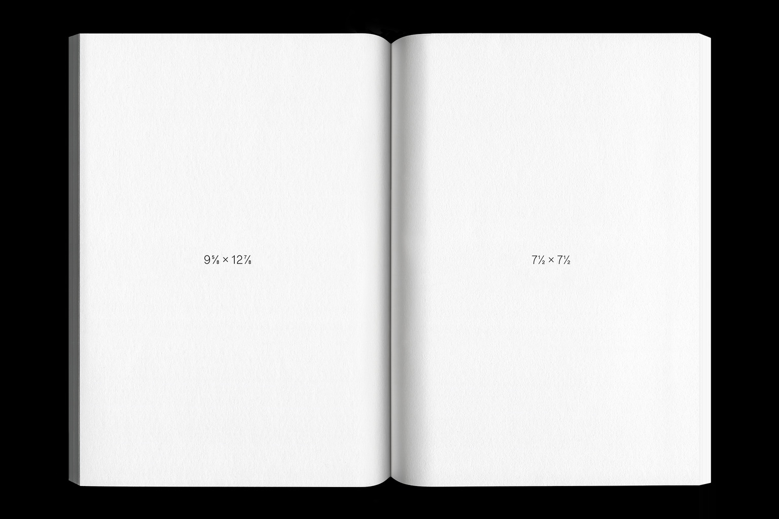 The Size of my Richard Prince Book Collection by Jonathan Monk – LL ...