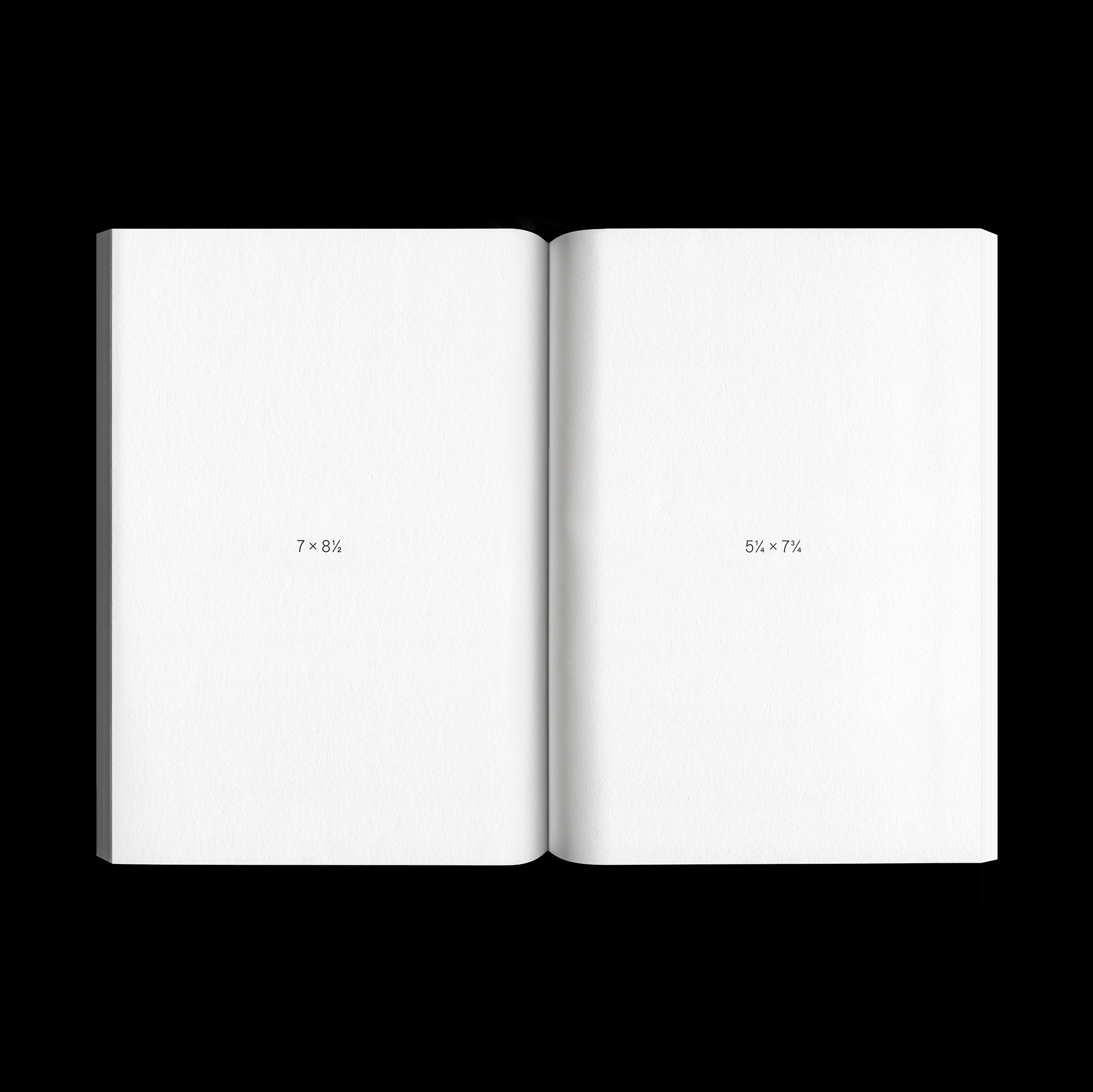 The Size of my Richard Prince Book Collection by Jonathan Monk – LL ...