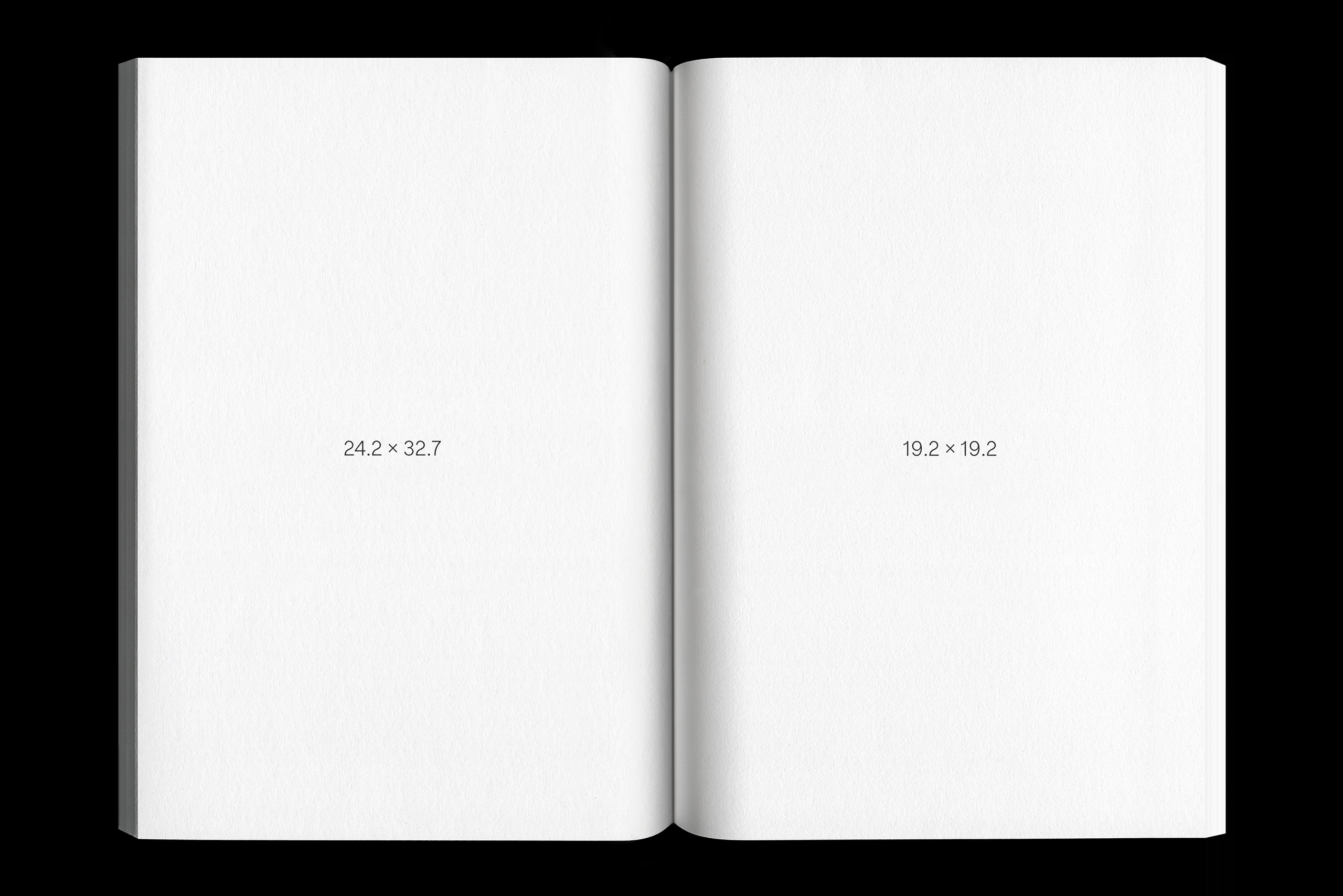 The Size of my Richard Prince Book Collection by Jonathan Monk – LL ...
